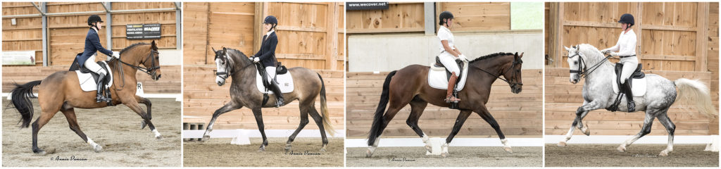 2026 Dressage Schooling Shows - Dunmovin Enterprises LLC